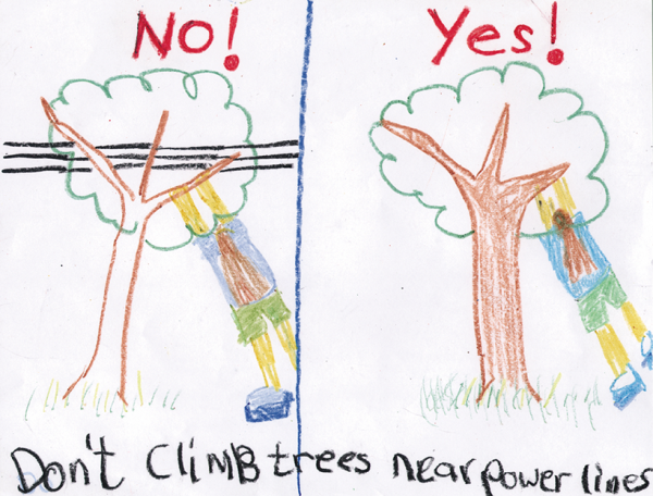 66441 Tree & Power Line Safety – National Grid Energy Explorer